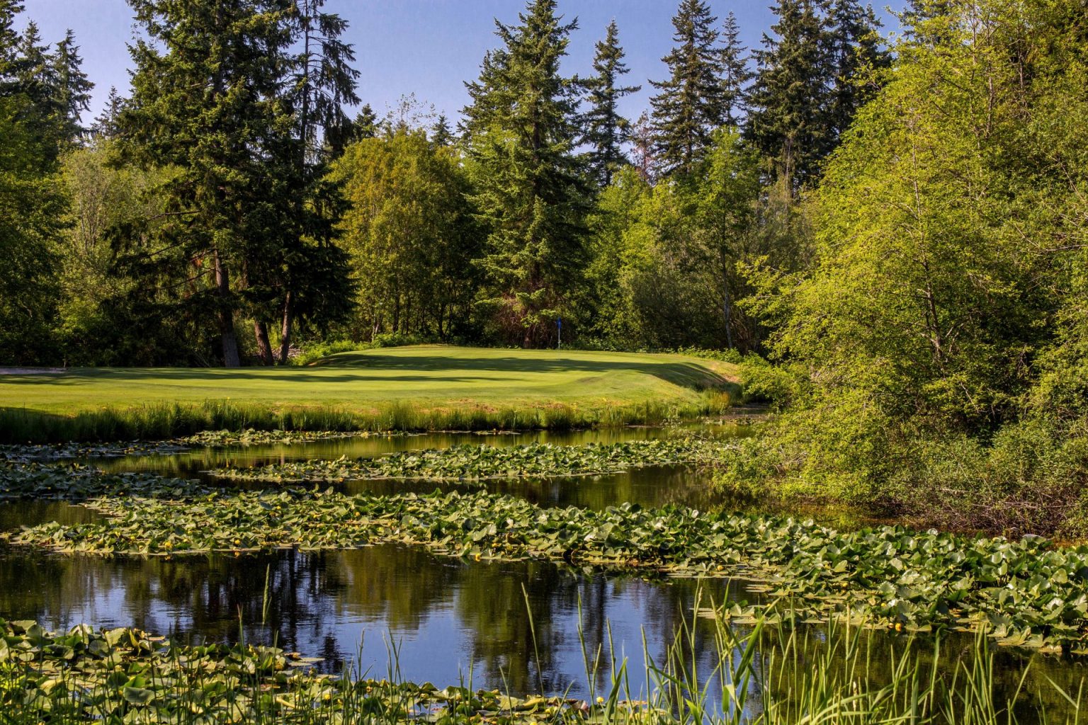 Rates - Harbour Pointe Golf Club